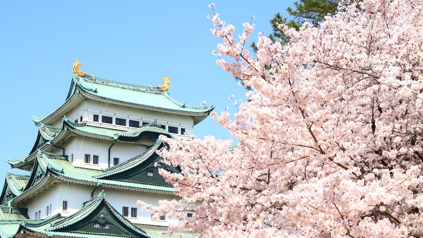 徳川美術館から名古屋城への行き方ガイド！アクセス方法やツアーのえらび方とコツ | NEWT（ニュート）